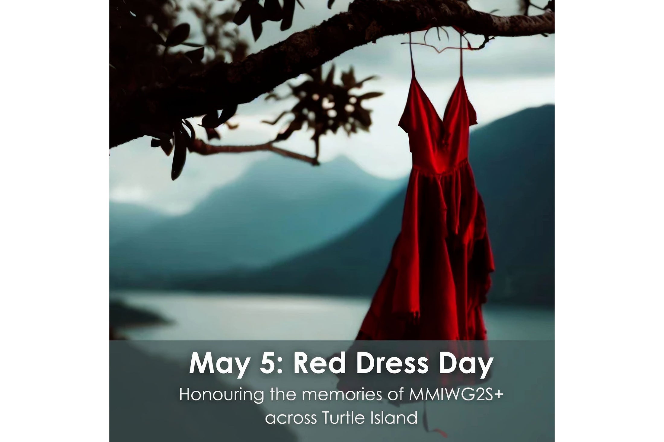 The Red Dress Campaign: A Powerful Symbol for Missing and Murdered Ind ...