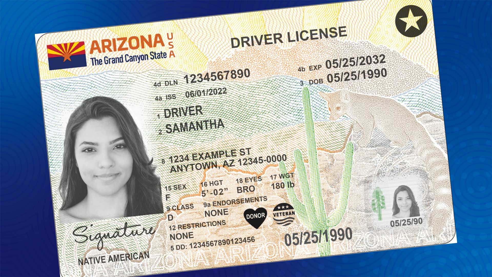 Arizona Now Offers 'Native American' Option on State IDs: A Step Towar ...