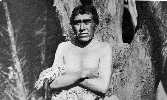 Ishi and the Erasure of the Yahi People: A Critical Chapter in Native ...