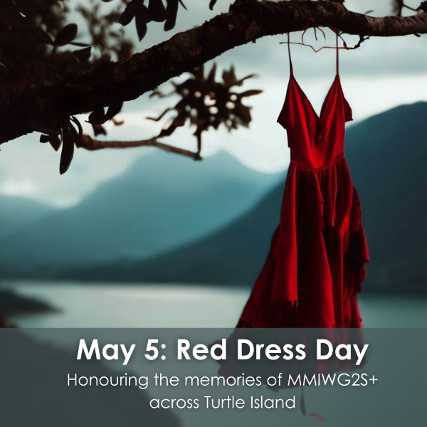 The Red Dress Campaign: A Powerful Symbol for Missing and Murdered Ind ...