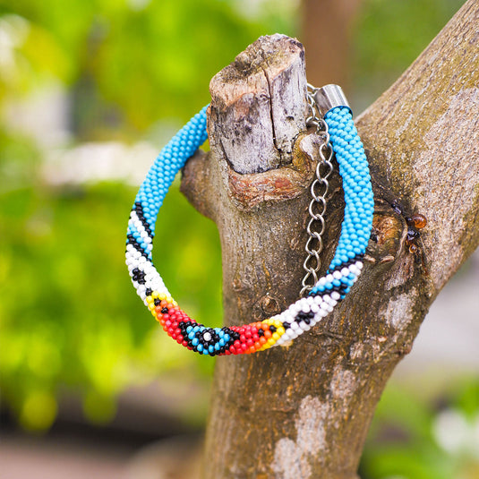 First Nation Chiefs' Traditional or Elected Roles and Responsibilities ...